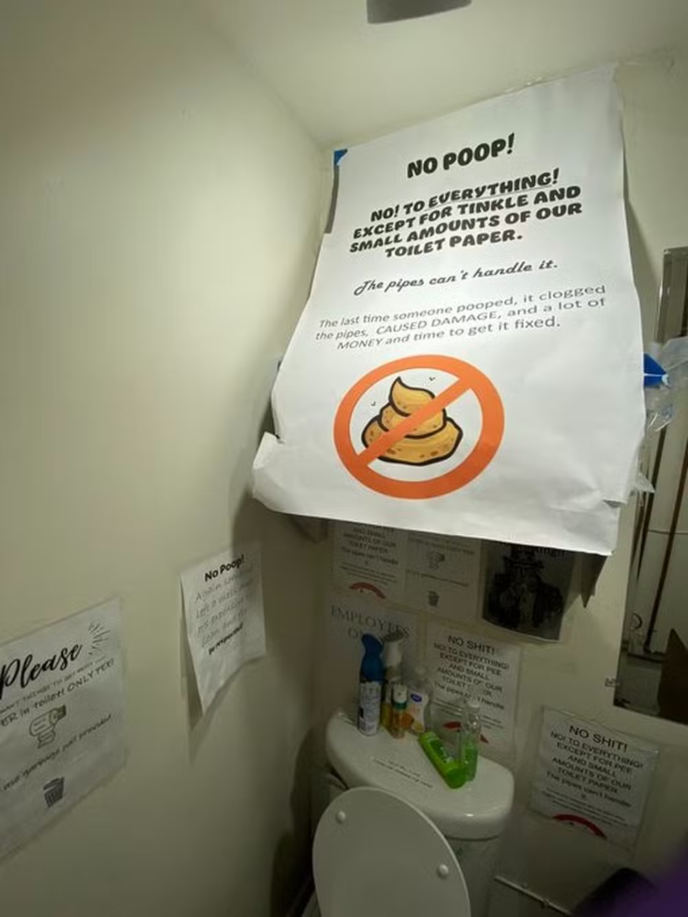 Cafeteria de Nova York viraliza por placas de 'é proibido fazer cocô' e ...